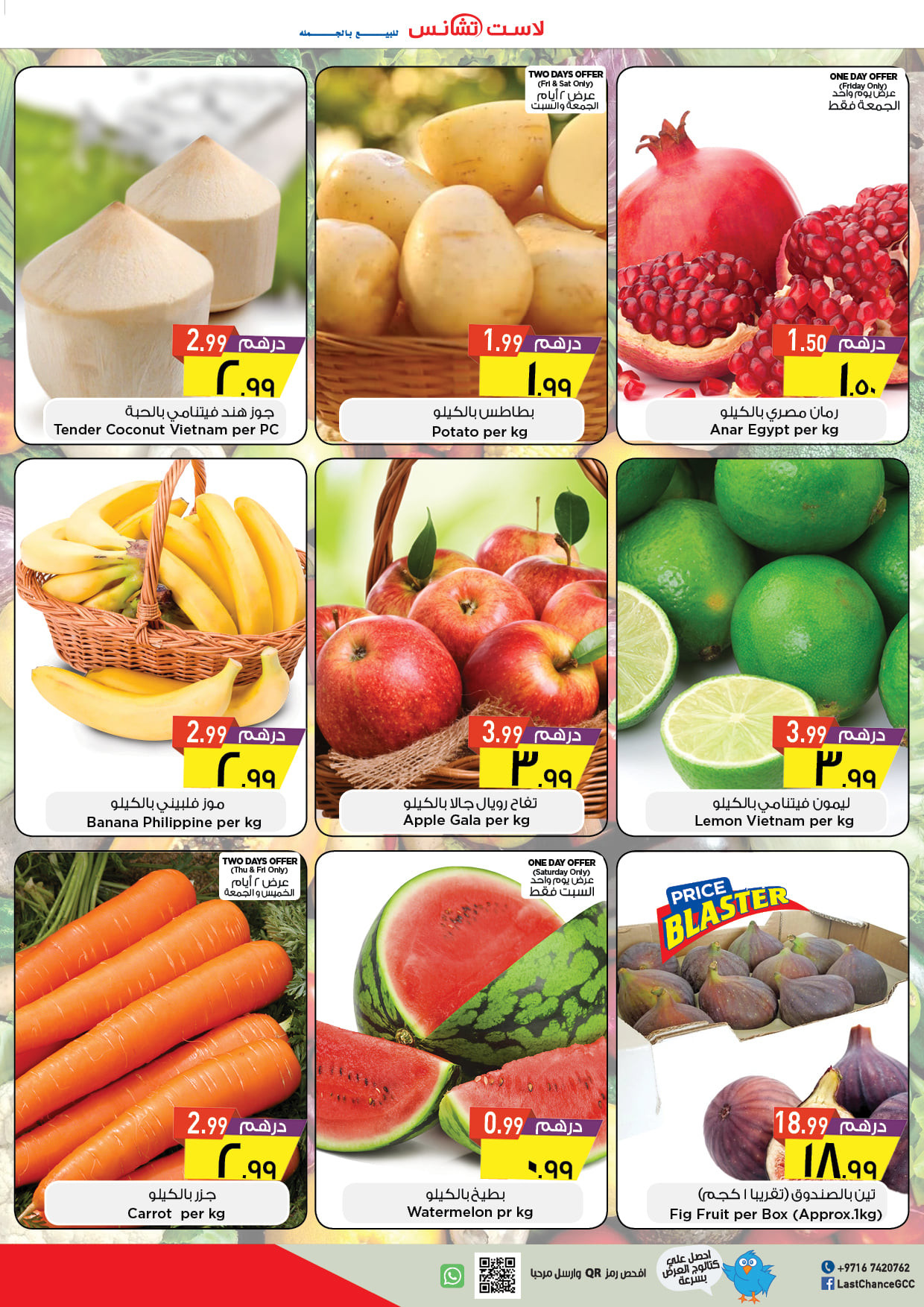 Exciting Price Slash from Last Chance until 24th October - Last Chance ...