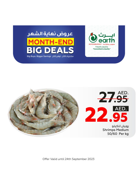 Month End Big Offers from Earth Stores until 24th September - Earth ...