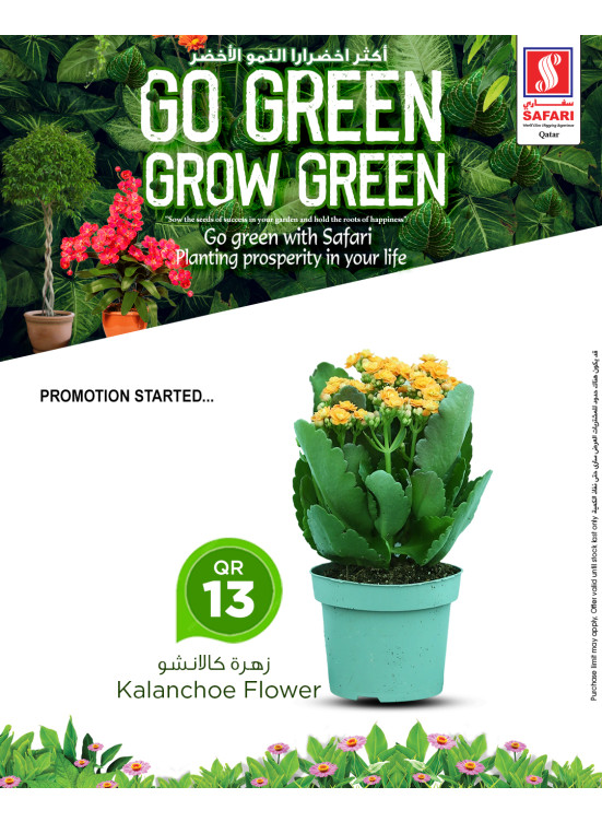 Go Green Grow Green from Safari Hypermarket until 9th October - Safari ...