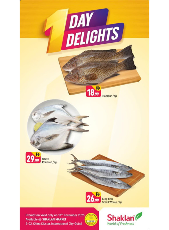 One Day Delights - B02 China Cluster, Dubai from Shaklan until 17th ...