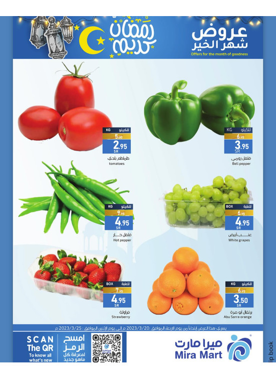 Month of Goodness Offers, Vol 5 from Mira Mart until 25th March - Mira ...