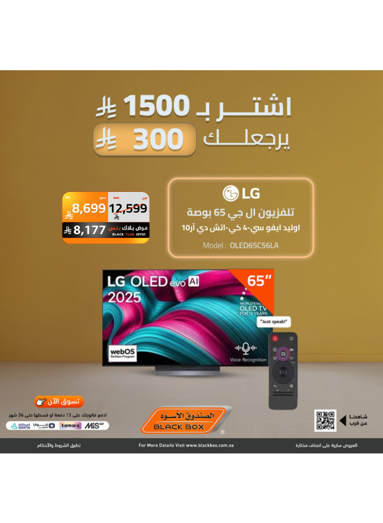 Year End Offers on Smart Screens, Vol 5 from BlackBox until 31st ...