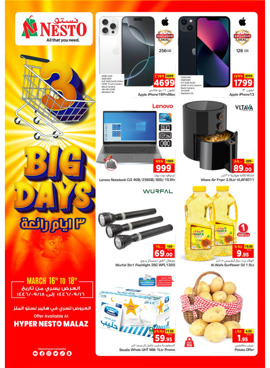 Big 3 Days Offers - Malaz from Nesto until 18th March - Nesto KSA ...