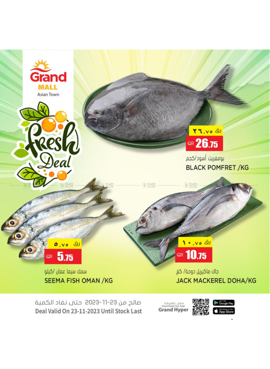 Seema Fish in Qatar | Catalogs & Offers
