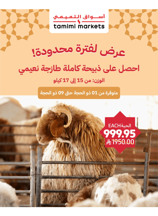 Arcadia Plaza Riyadh Deals, Catalogs & Special Offers
