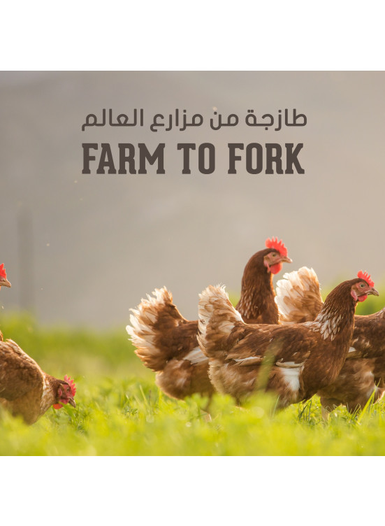 Chicken Offers from Tamimi Markets until 23rd January - Tamimi Markets ...